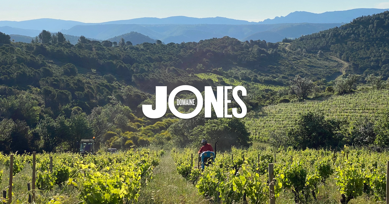 Fitou Vineyard Collection 2022 - Domaine Jones